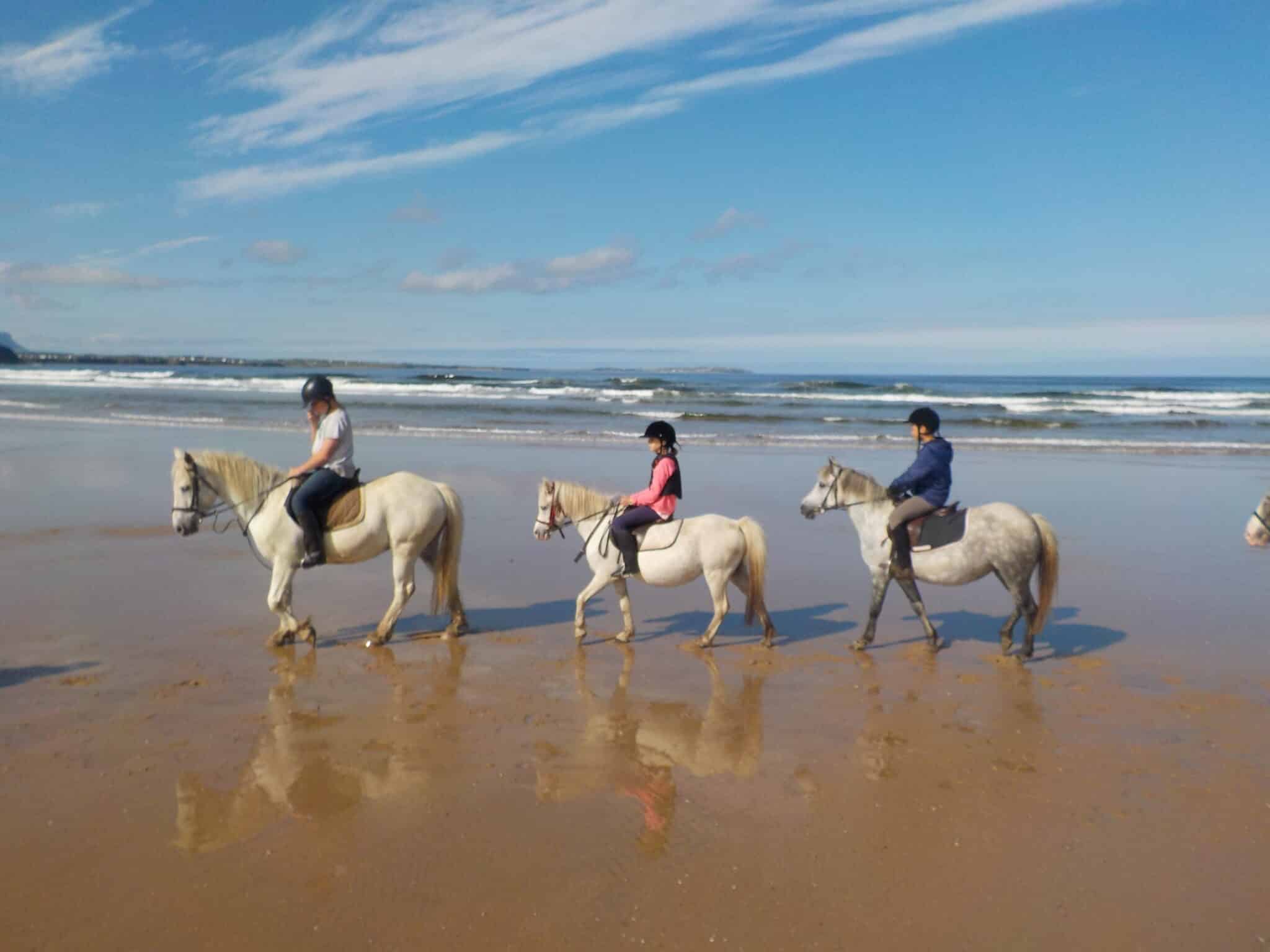 Pony Camps | Donegal Equestrian Centre