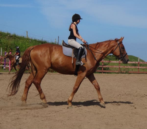 Riding Lessons | Donegal Equestrian Centre
